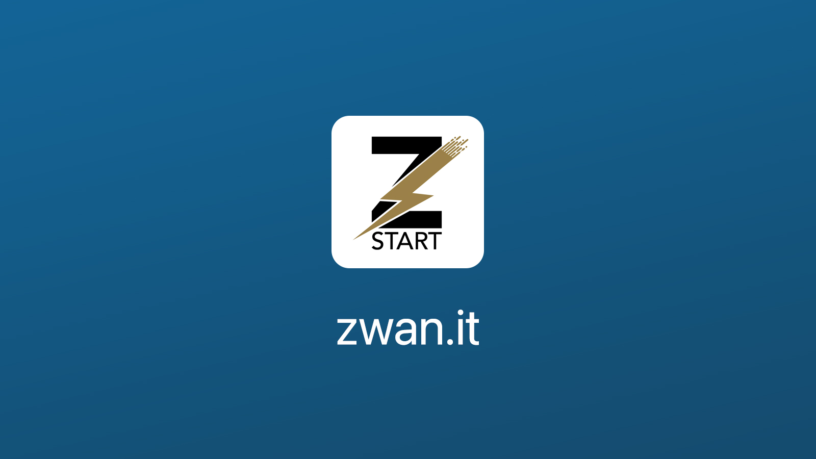 Z-Start - Analisi di business per strategie di marketing - Zwan